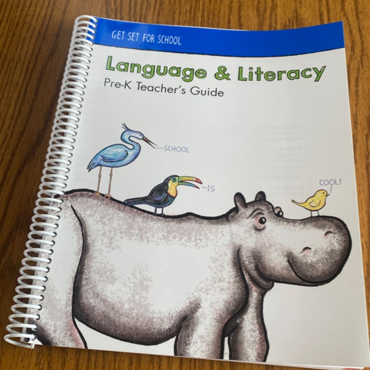 Language and Literacy Pre-K Teacher's Guide by Emily F. Knapton