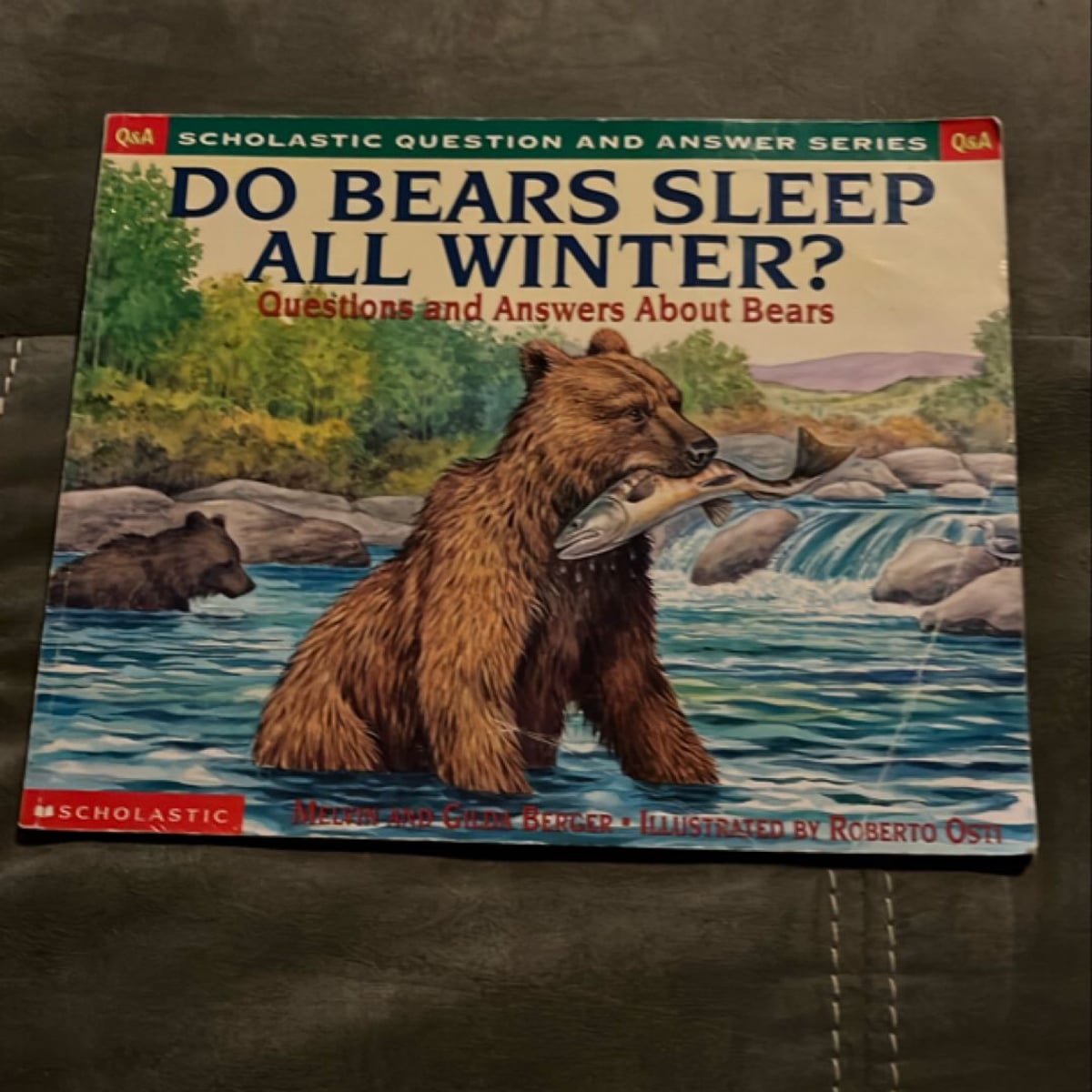 Do Bears Sleep All Winter? by Melvin Berger, Gilda Berger