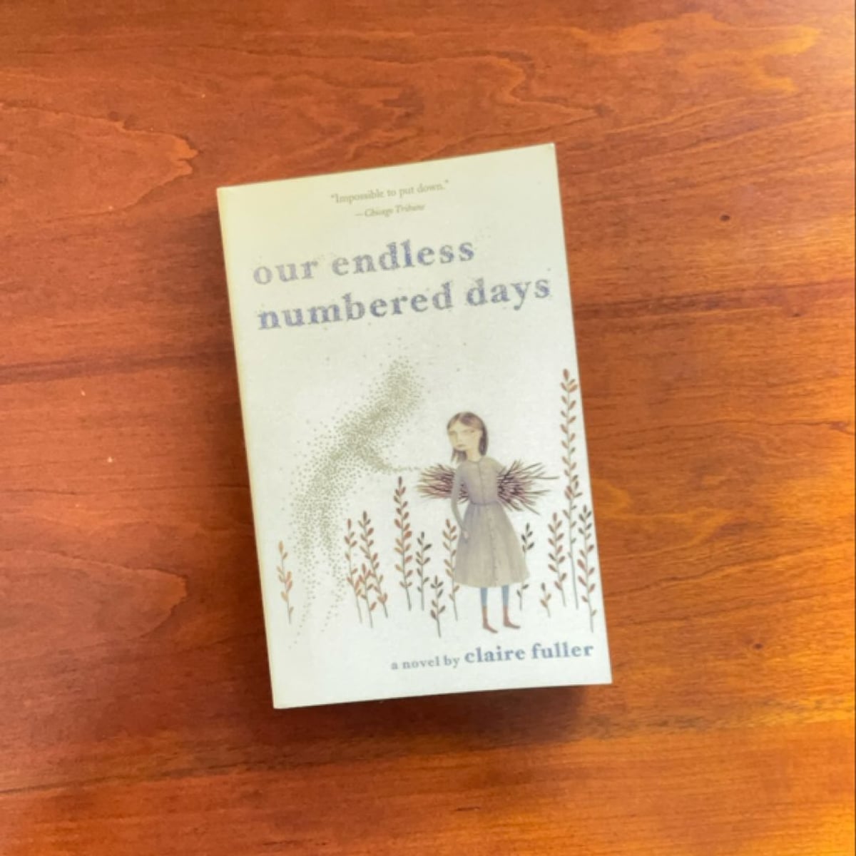 Our Endless Numbered Days by Claire Fuller