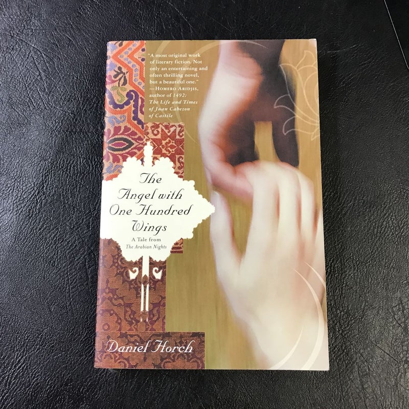 The Angel with One Hundred Wings by Daniel Horch, Paperback | Pangobooks
