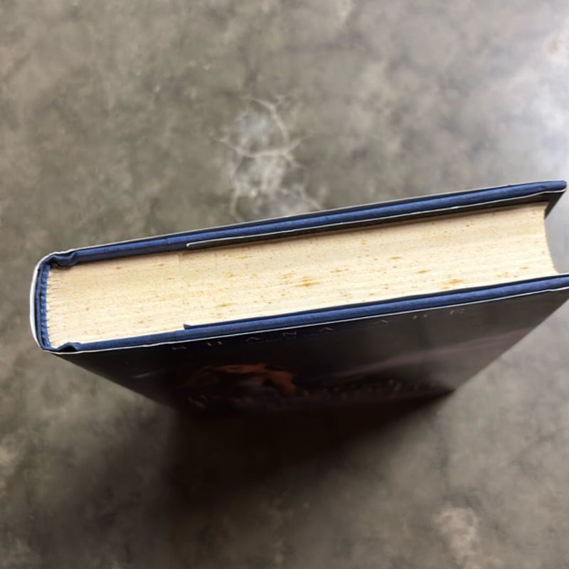 The Deepest Night by Shana Abe