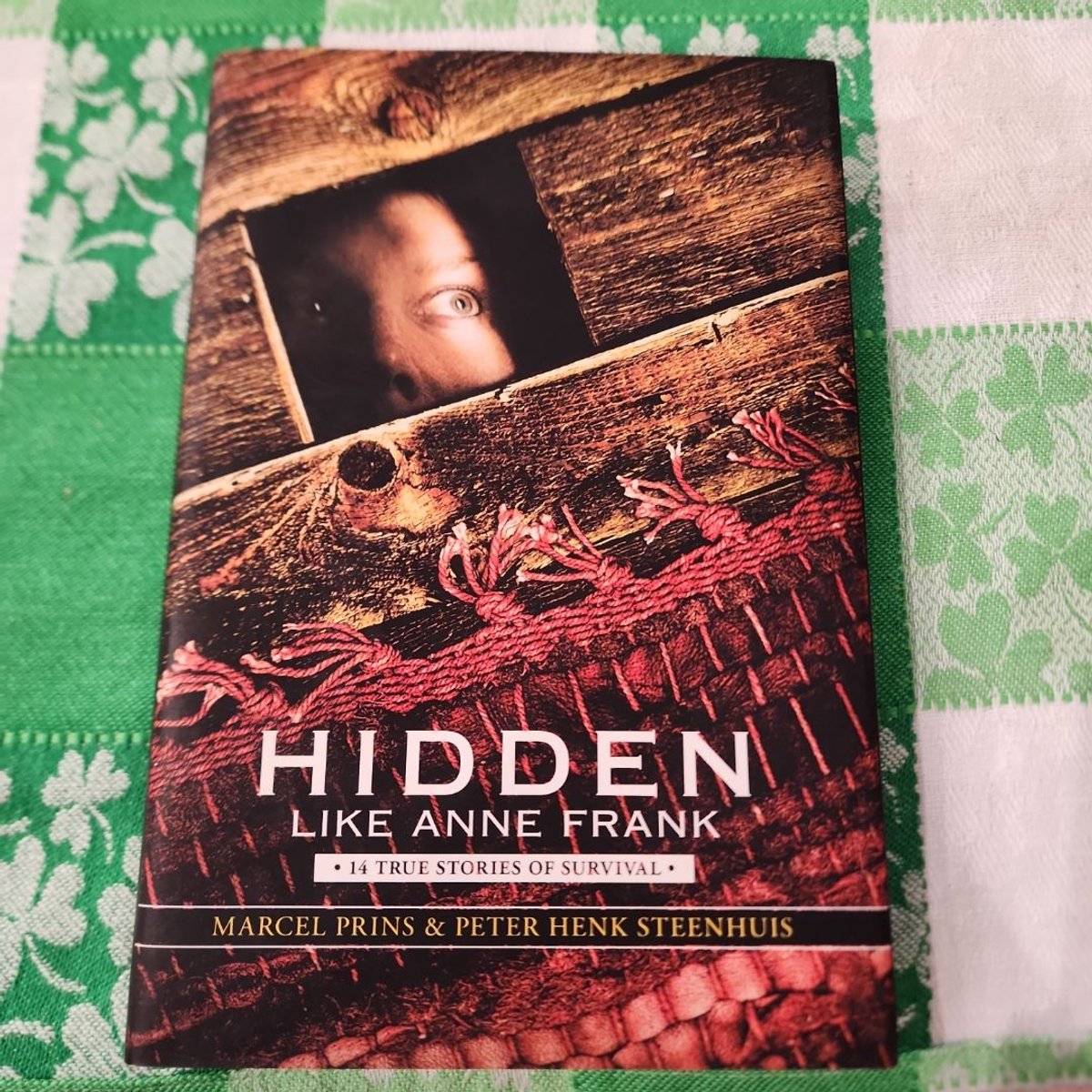Hidden Like Anne Frank by Marcel Prins, Peter Henk Steenhuis, Laura ...