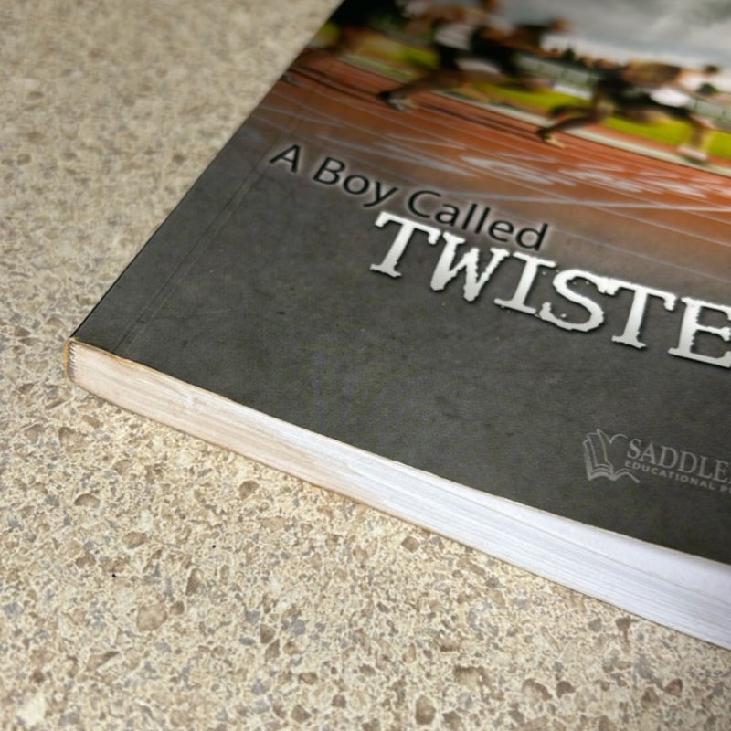A Boy Called Twister by Anne Schraff