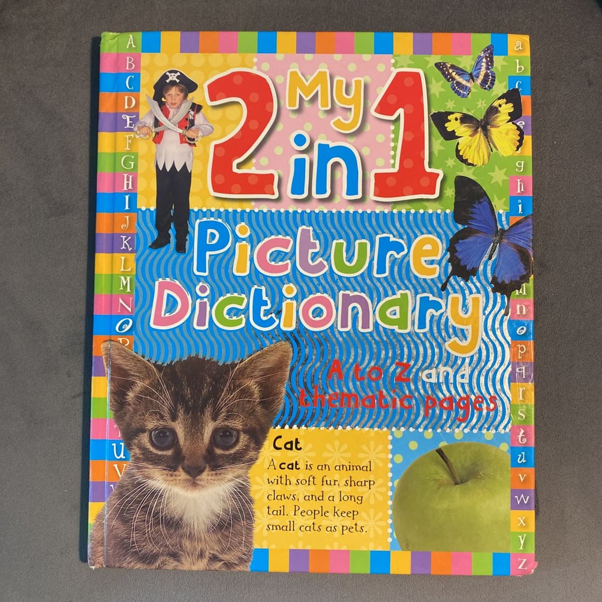 My 2 in 1 Picture Dictionary by Sarah Phillips