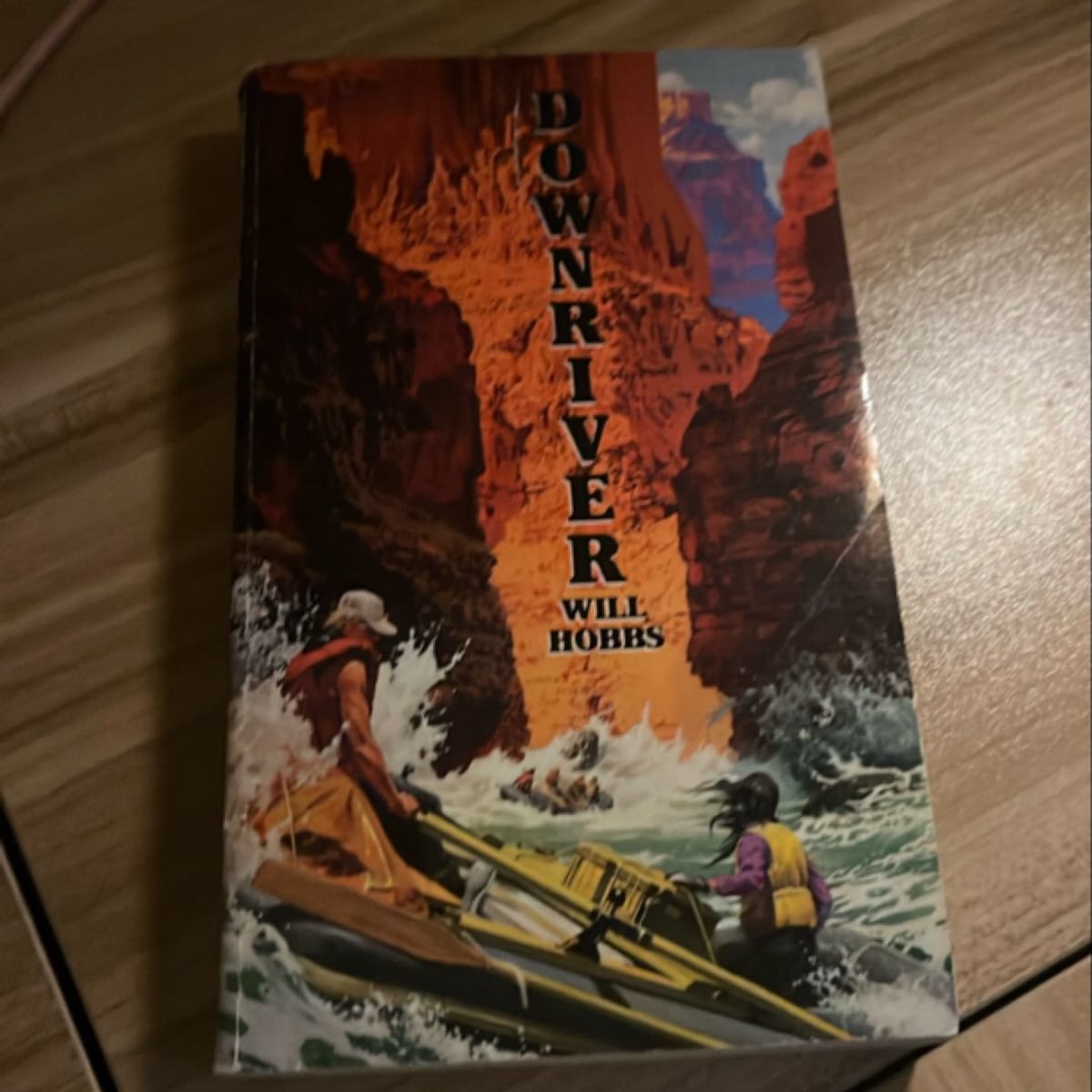 Downriver by William Hobbs