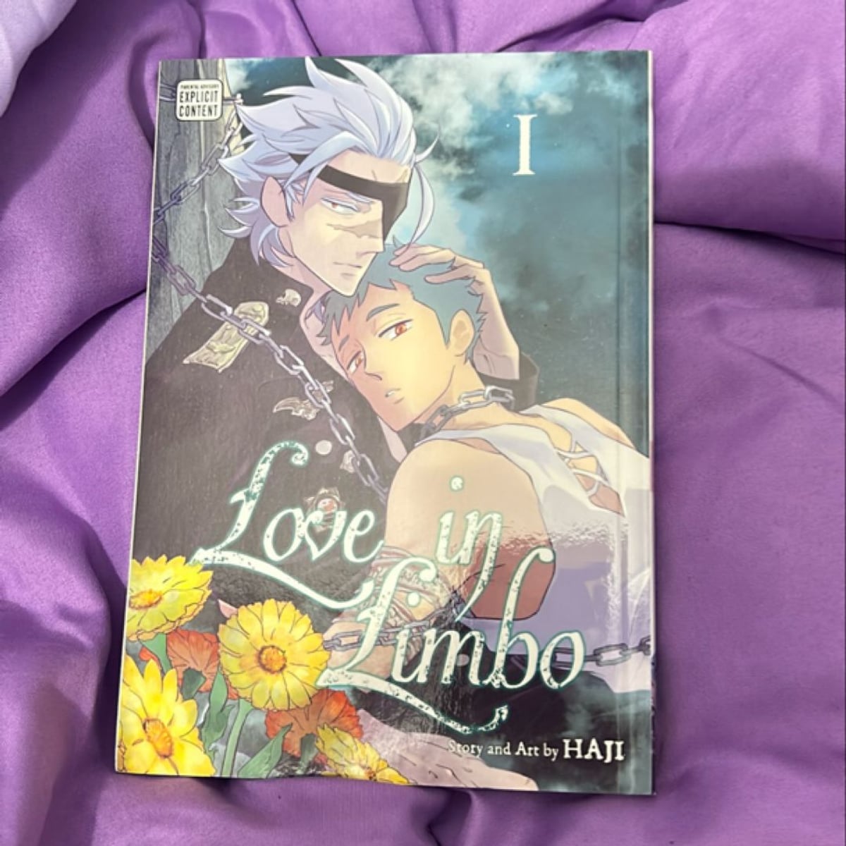 Love in Limbo, Vol. 1 by Haji