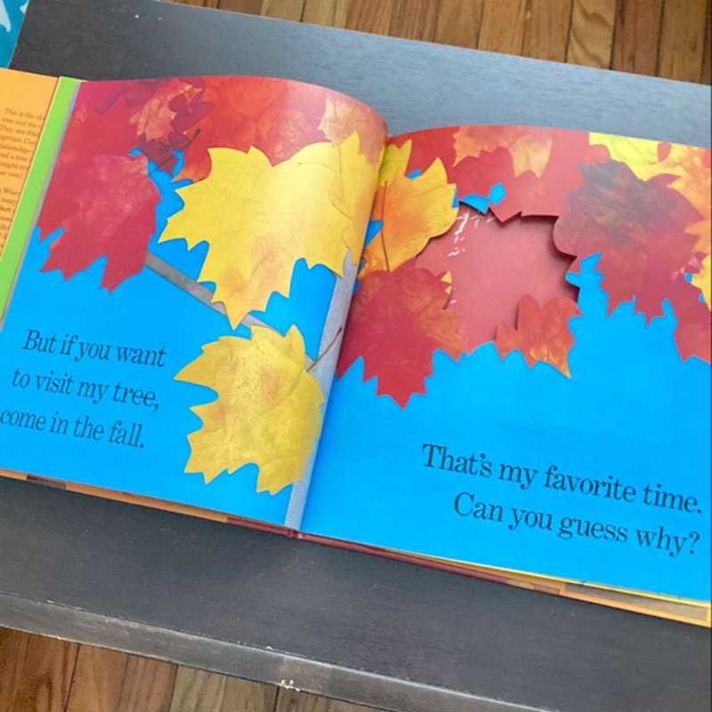 Red Leaf, Yellow Leaf by Lois Ehlert