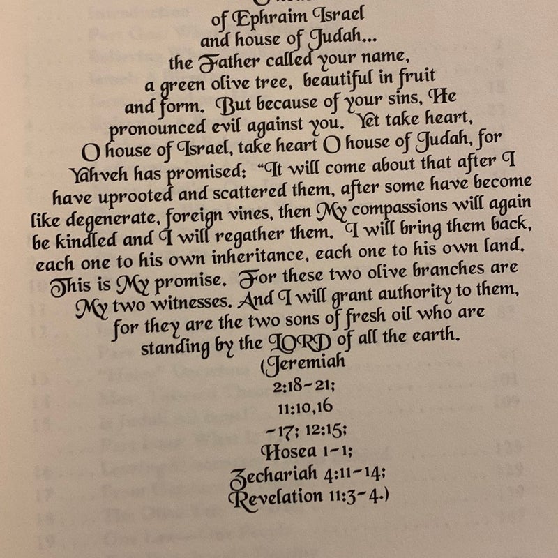 T. S. 44 the Button Tree Prophet by William Spires