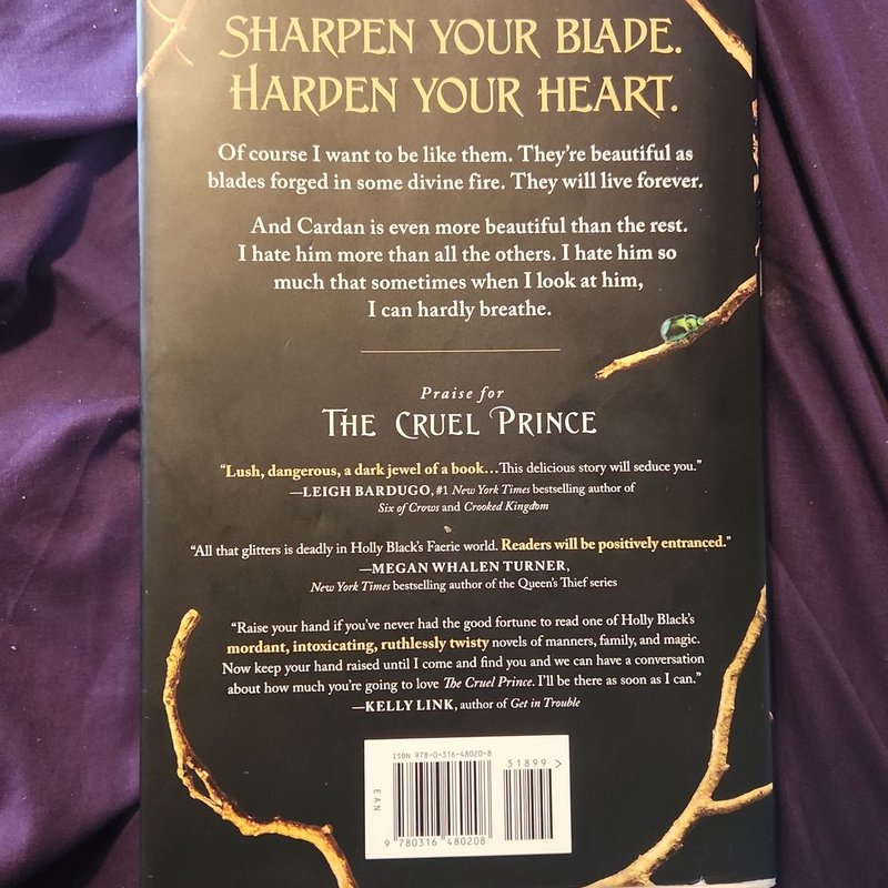 The Cruel Prince (Barnes and Noble Exclusive Edition) by Holly Black ...