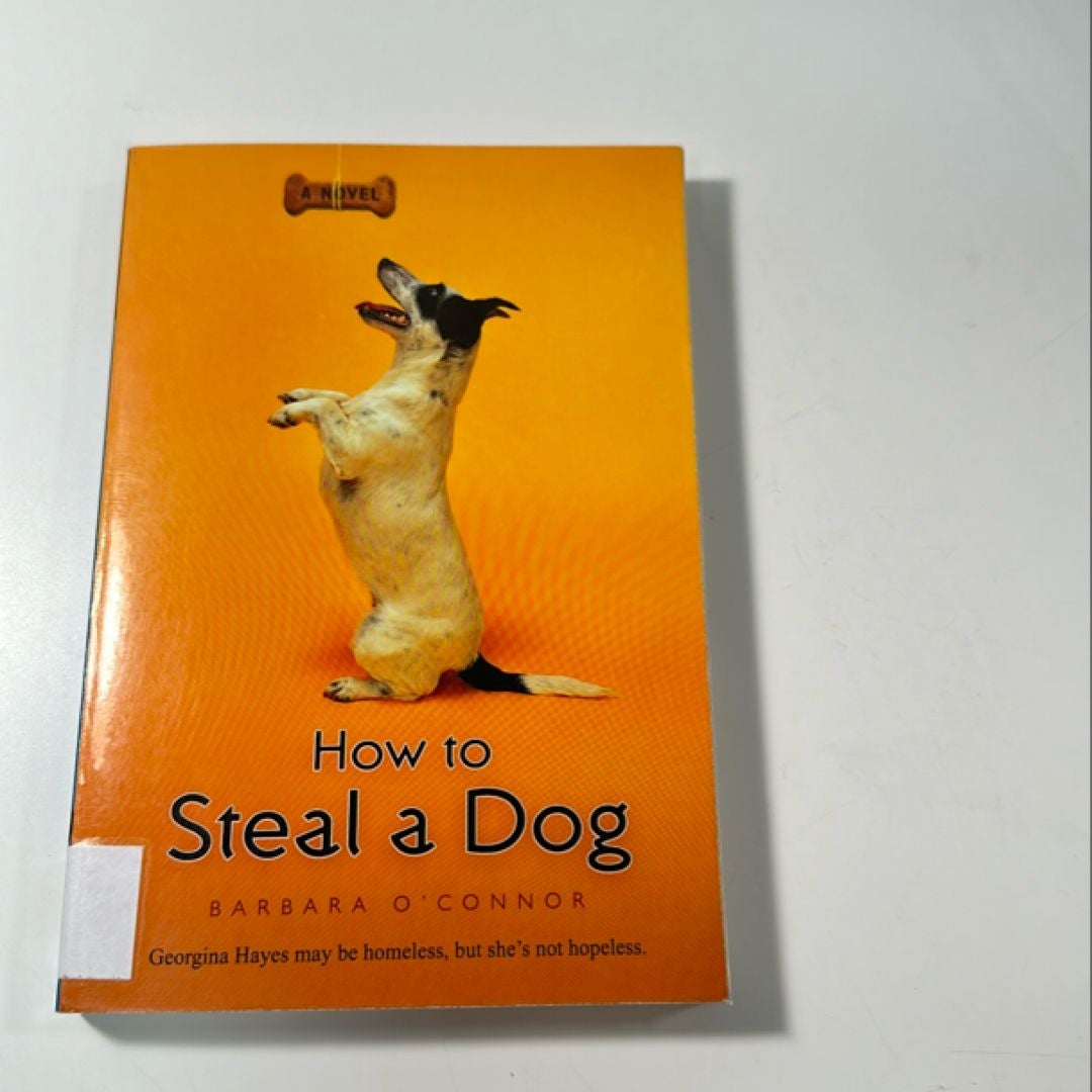 How to Steal a Dog by Barbara O'Connor