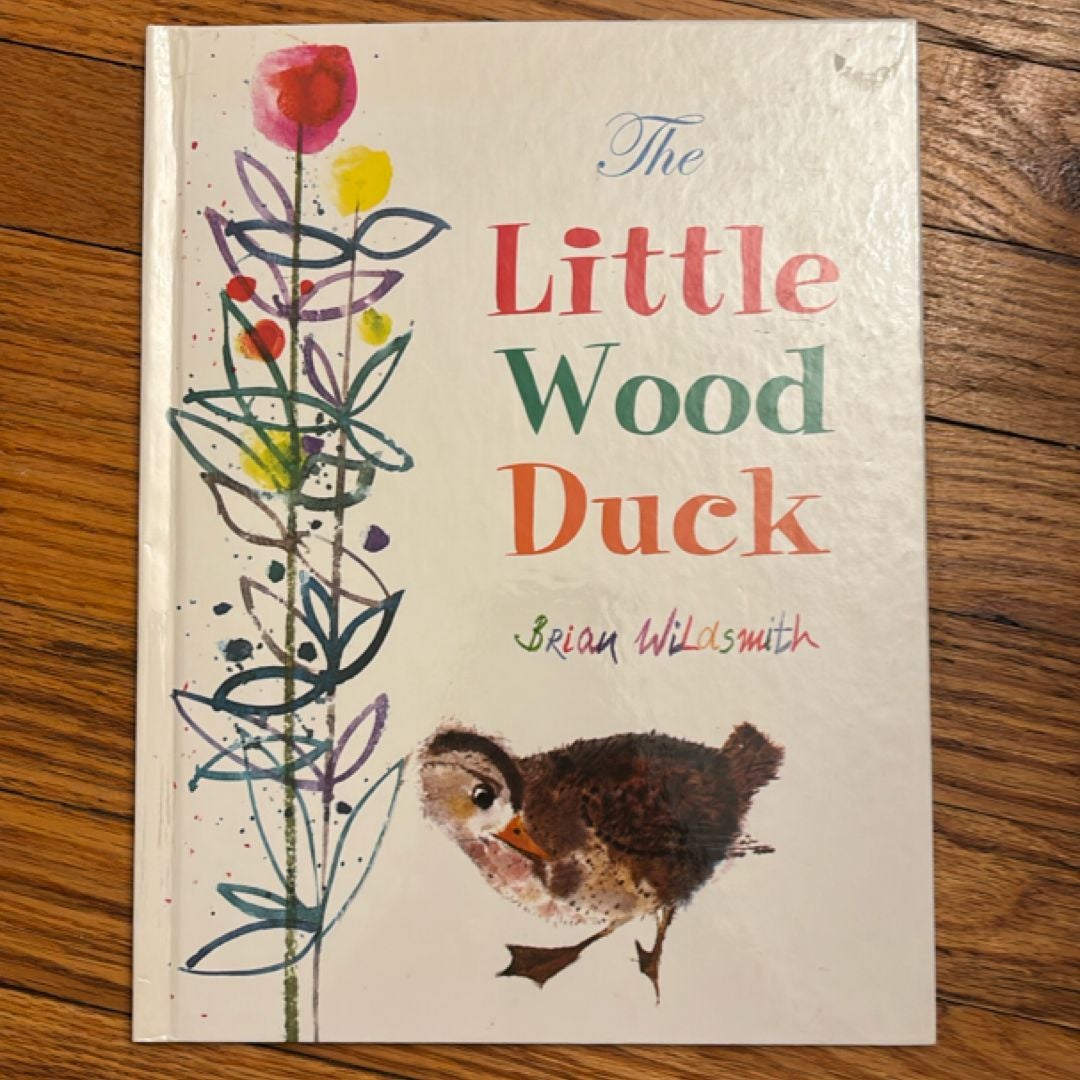 The Little Wood Duck by Brian Wildsmith