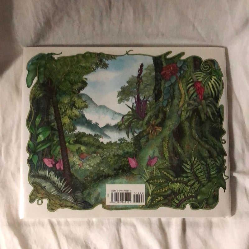 The Umbrella by Jan Brett