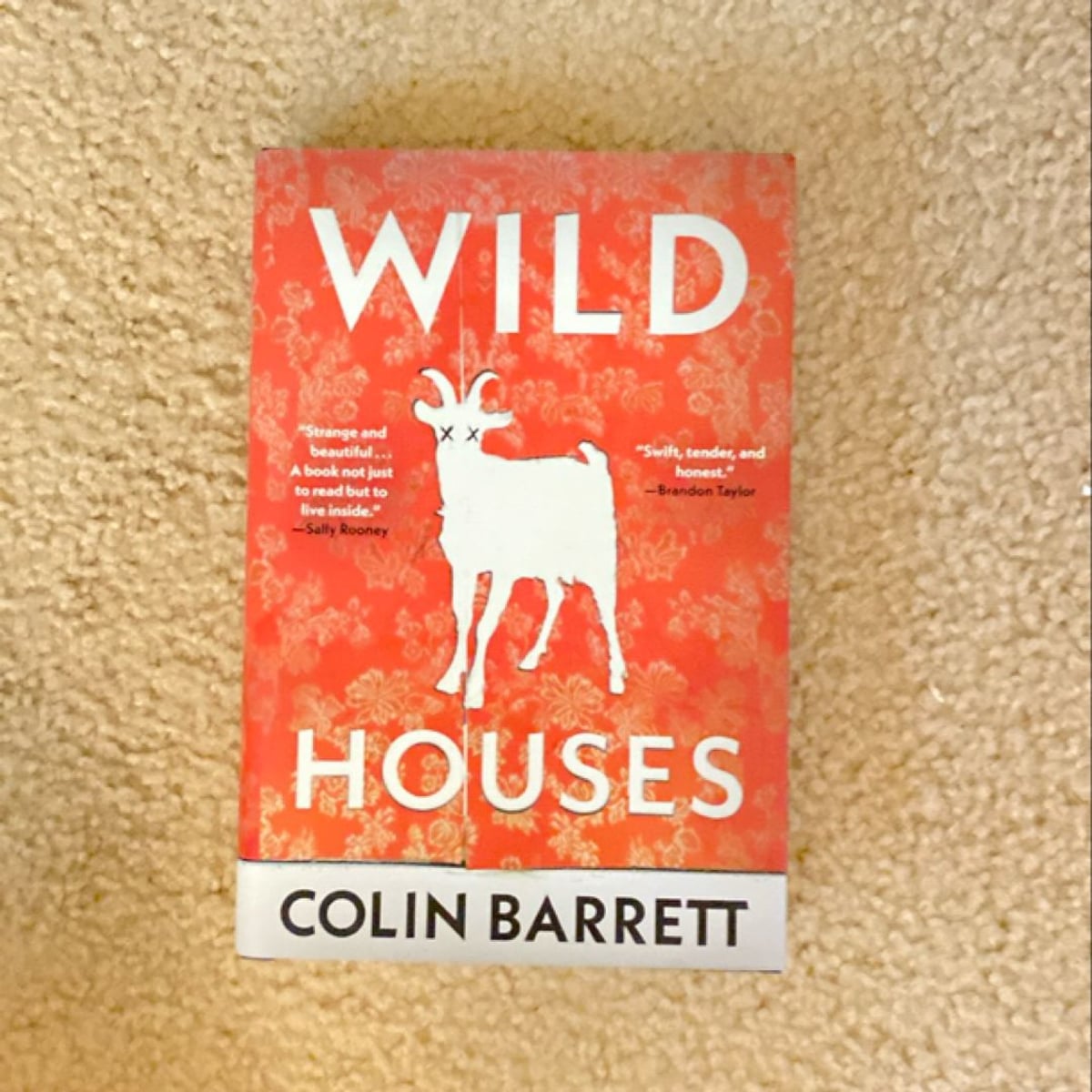Wild Houses by Colin. Barrett, Hardcover | Pangobooks