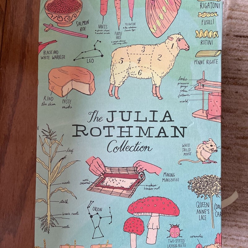 The Julia Rothman Collection by Julia Rothman
