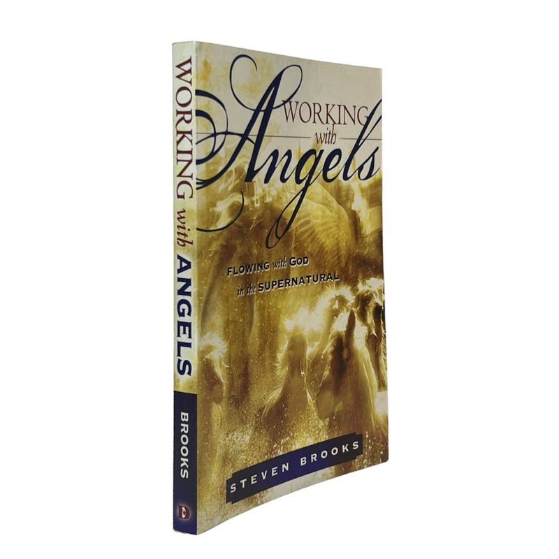 Working with Angels by Steven W. Brooks