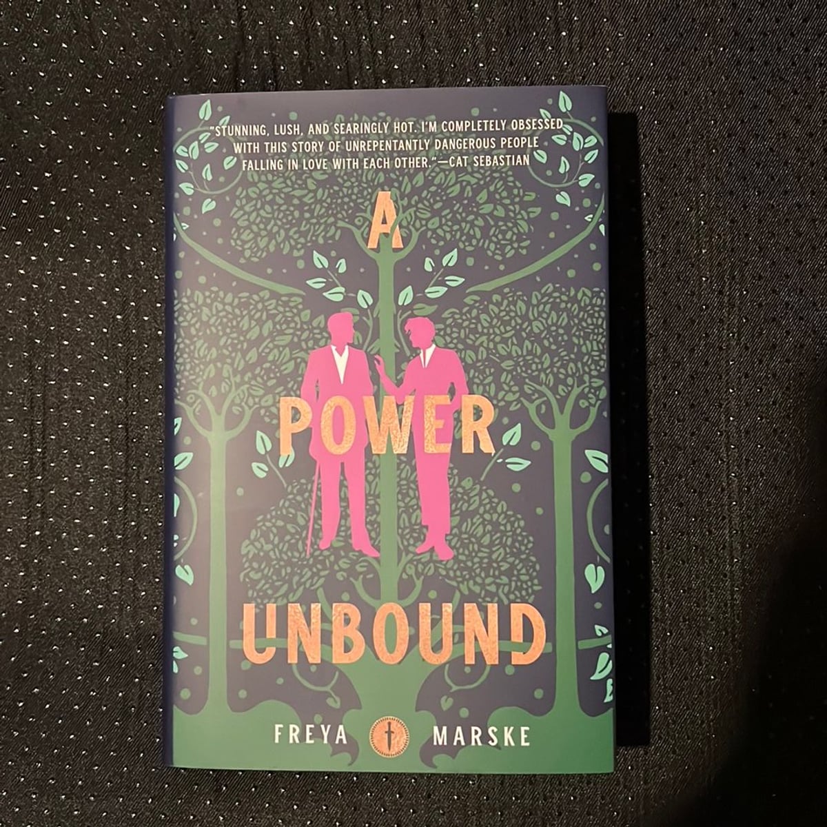 A Power Unbound by Freya Marske