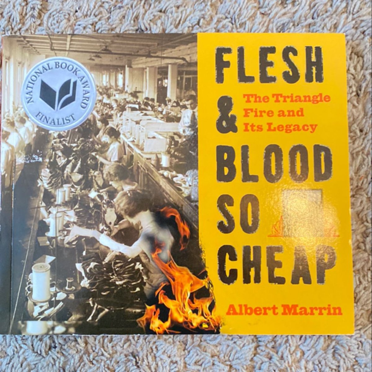 Flesh and Blood So Cheap: the Triangle Fire and Its Legacy by Albert Marrin