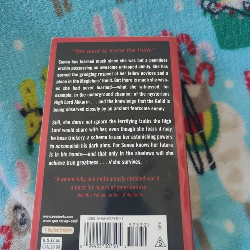 The High Lord by Trudi Canavan