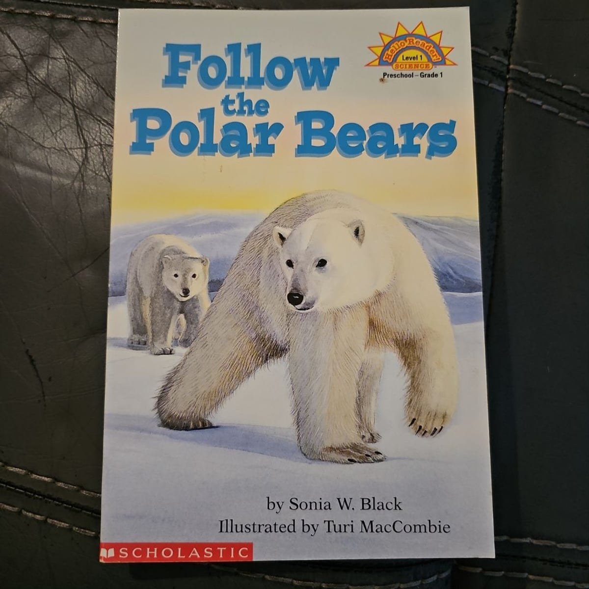 Follow the Polar Bears by Sonia W. Black