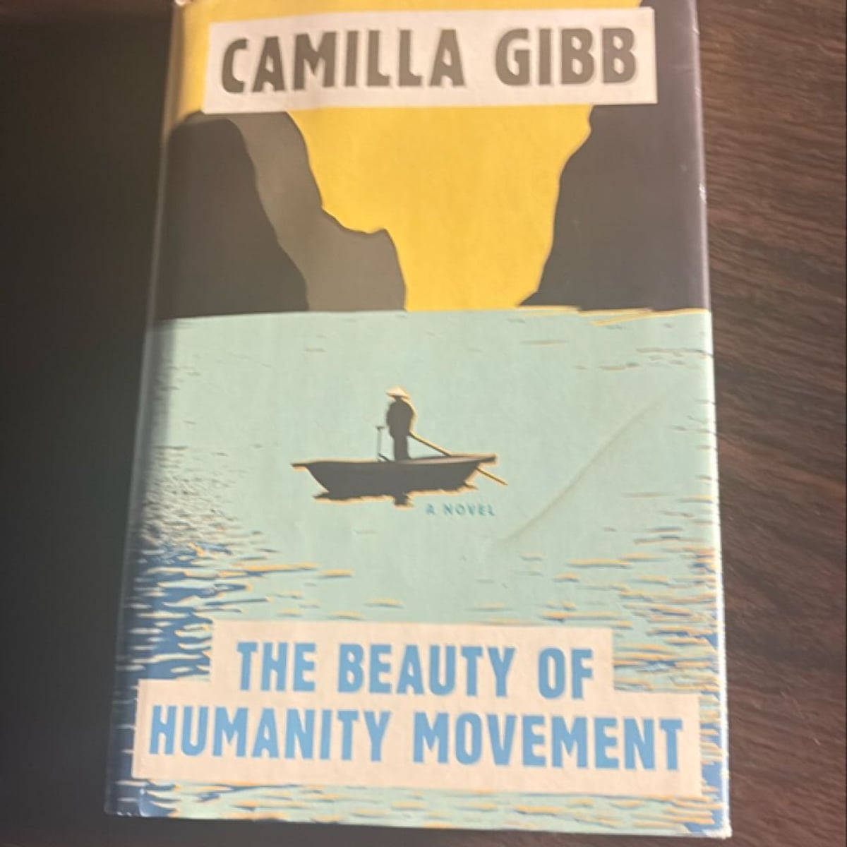The Beauty of Humanity Movement by Camilla Gibb