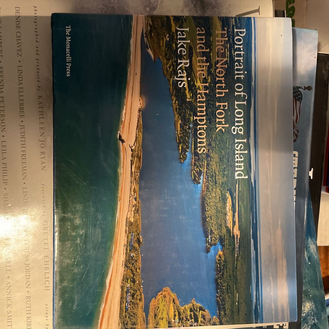 Portrait of Long Island by Jake Rajs