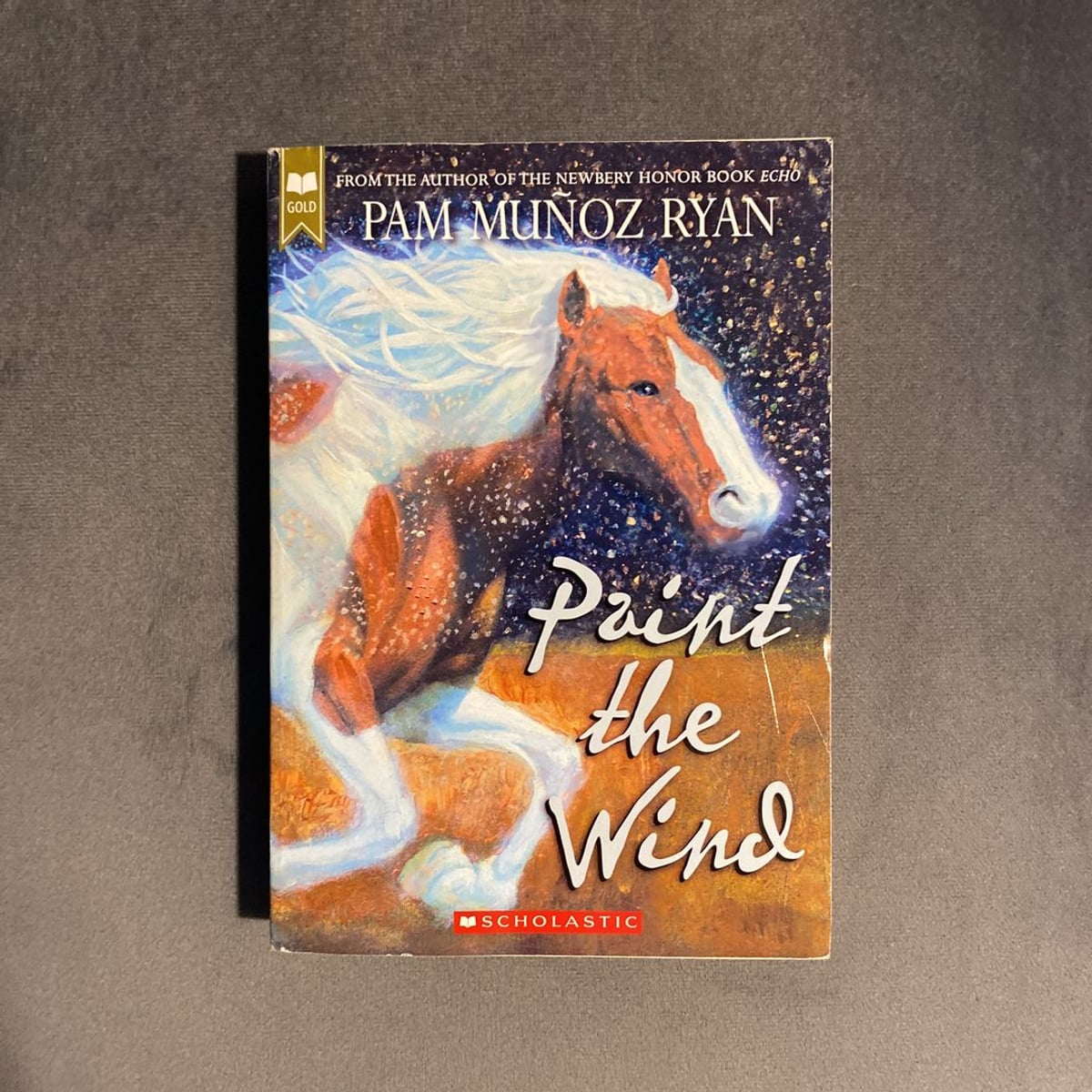 Paint the Wind by Pam Muñoz Ryan, Paperback | Pango Books