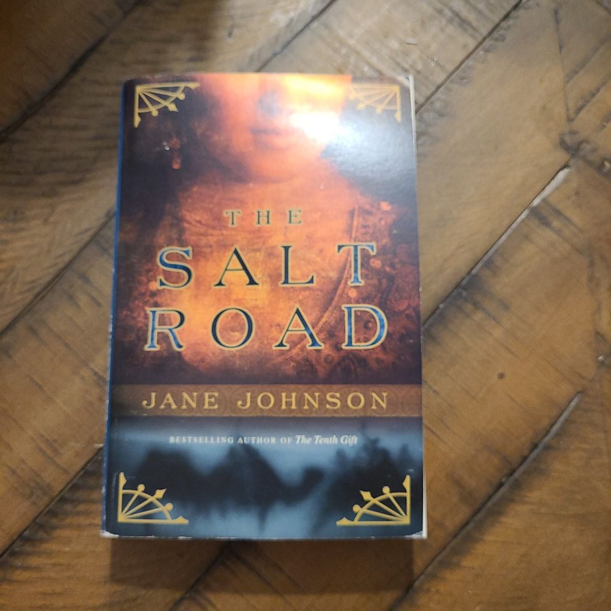 The Salt Road by Jane Johnson