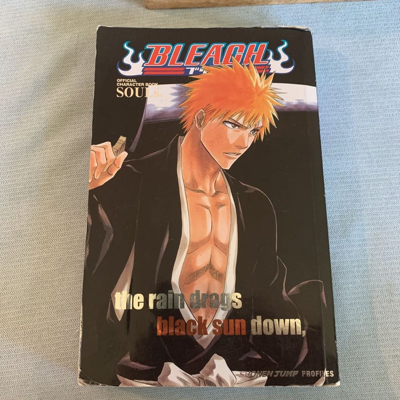 Bleach SOULs. Official Character Book