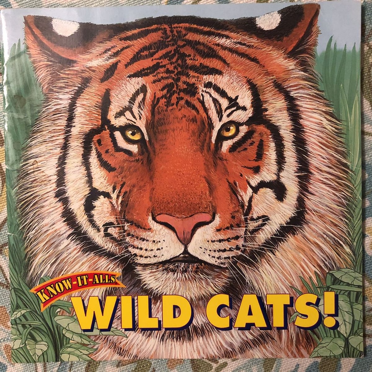 Wild Cats