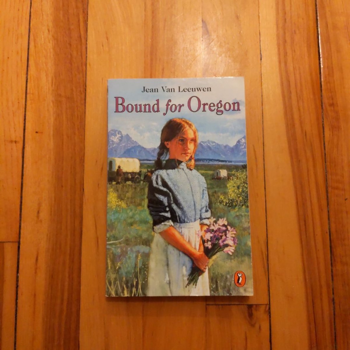 Bound for Oregon by Jean Van Leeuwen