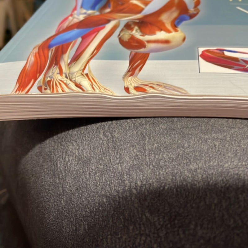 Key Poses of Yoga by Ray Long