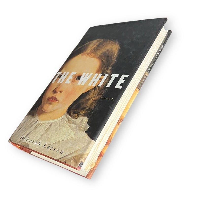 The White by Deborah Larsen