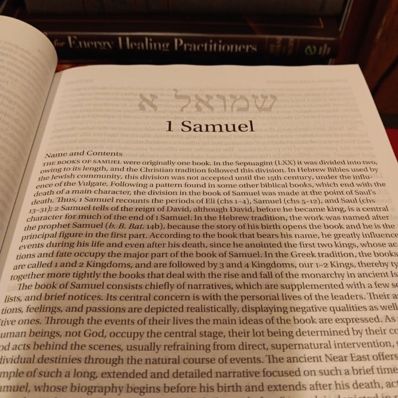 The Jewish Study Bible by Adele Berlin, Hardcover | Pangobooks