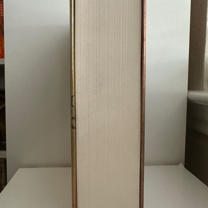 Fourth Wing (German Edition) by Rebecca Yarros, Hardcover | Pangobooks