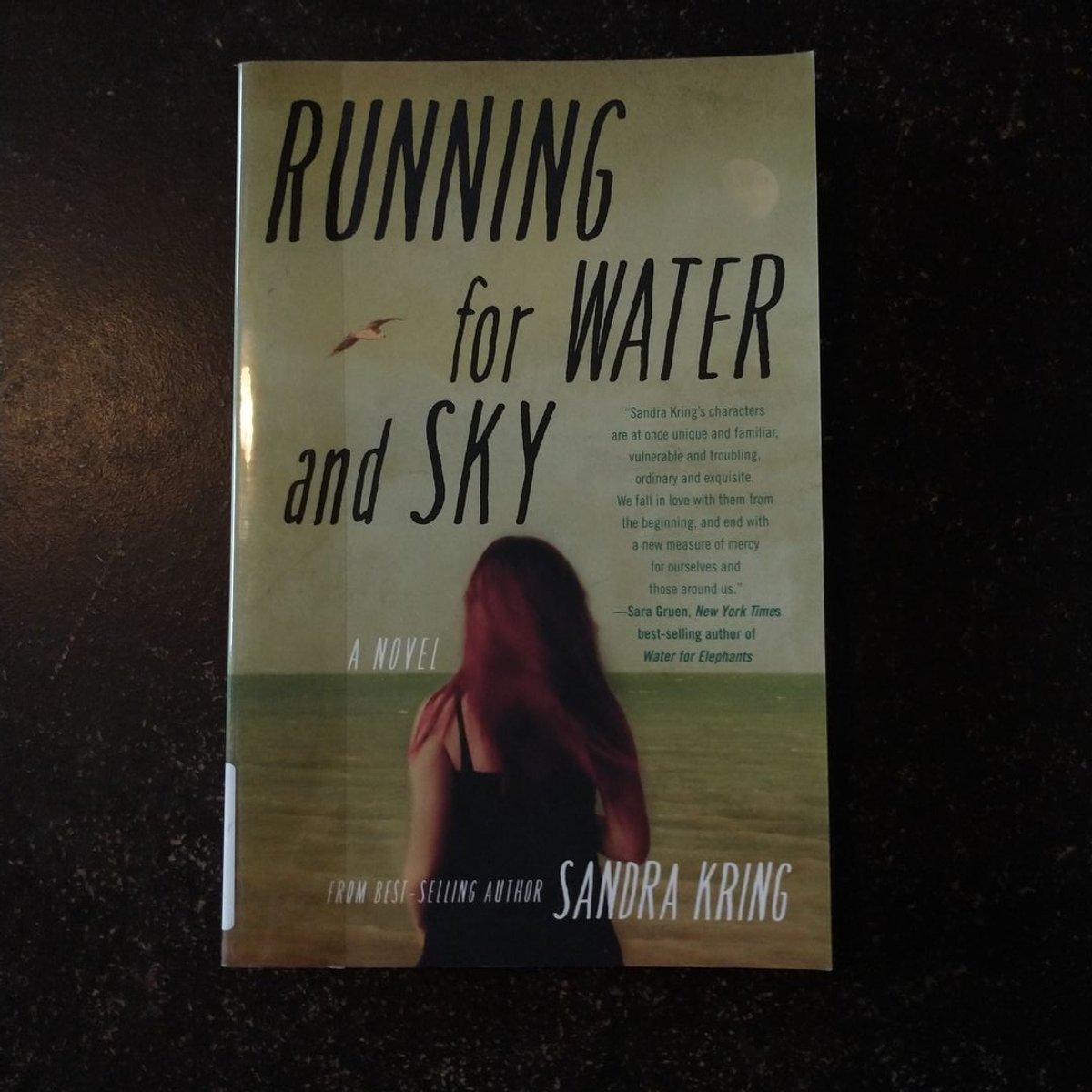 Running for Water and Sky by Sandra Kring