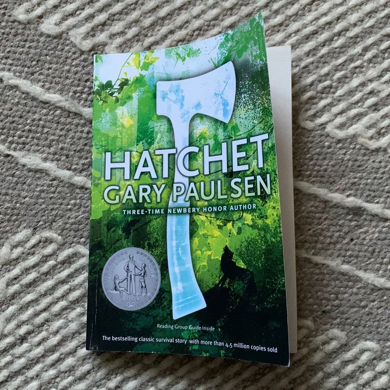 Hatchet by Gary Paulsen , Paperback | Pangobooks