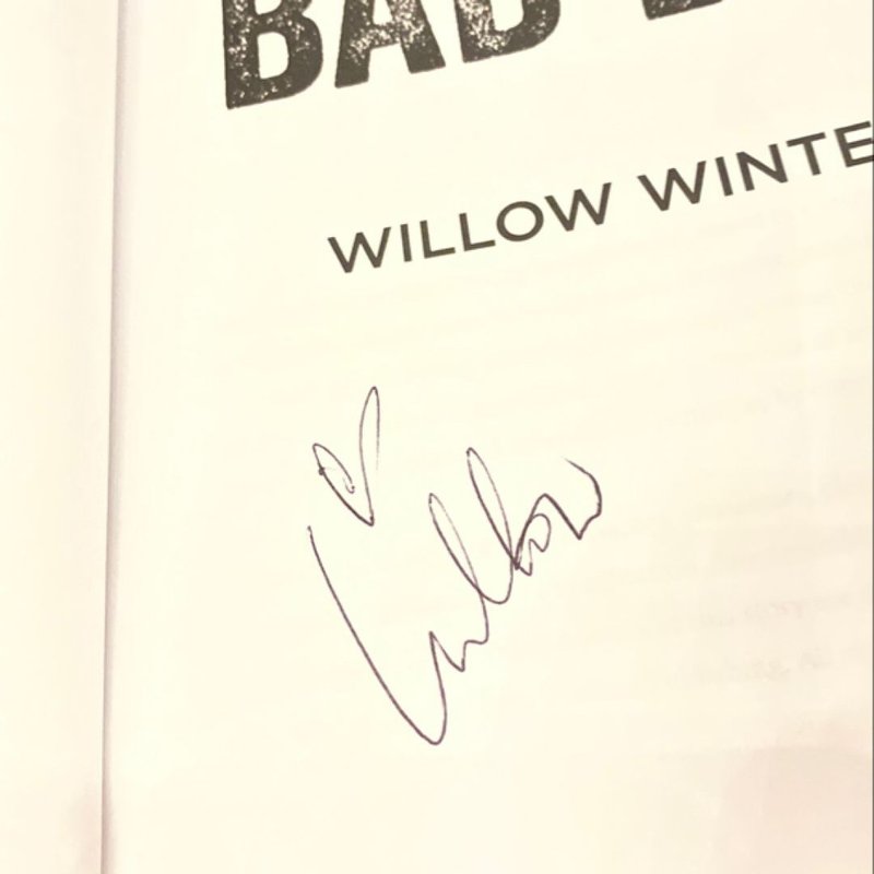Bad Boy: a Dark Standalone Mafia Romance by Willow Winters