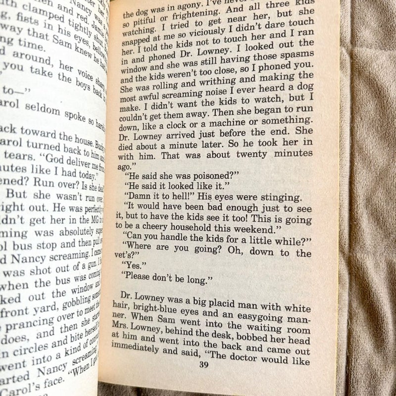 Cape Fear by John D. MacDonald, Paperback | Pangobooks
