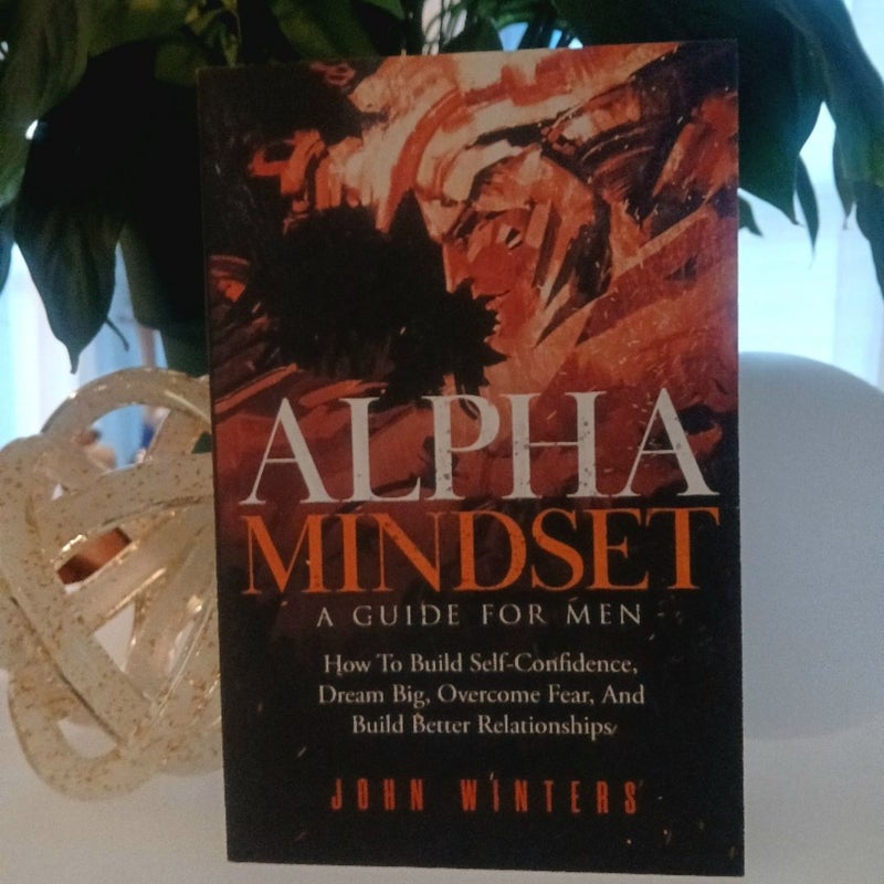 Alpha Mindset -A Guide for Men by John Winters