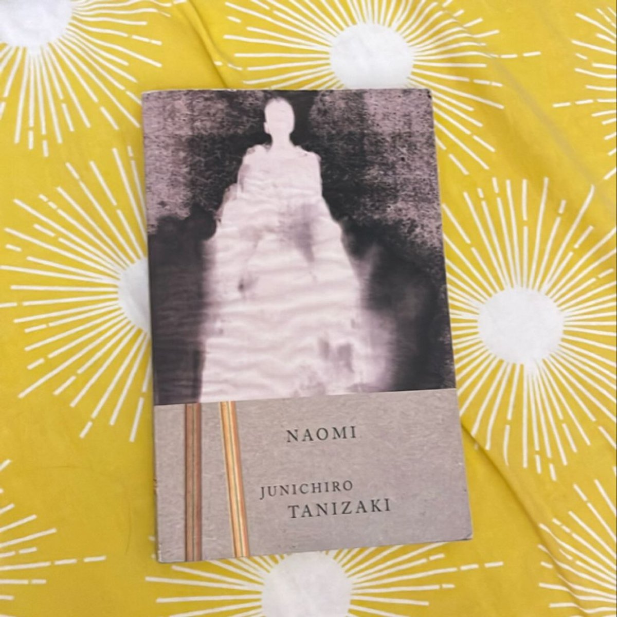 Naomi by Jun'Ichiro Tanizaki, Anthony H. Chambers