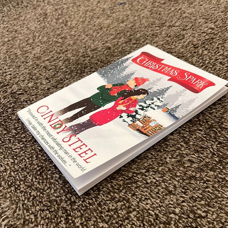 A Christmas Spark by Cindy Steel, Paperback | Pangobooks