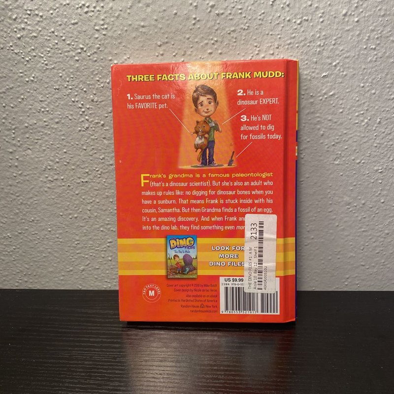 The Dino Files #1: a Mysterious Egg by Stacy McAnulty