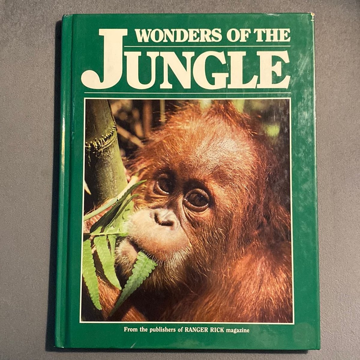 Wonders of the Jungle by National Wildlife Federation Staff