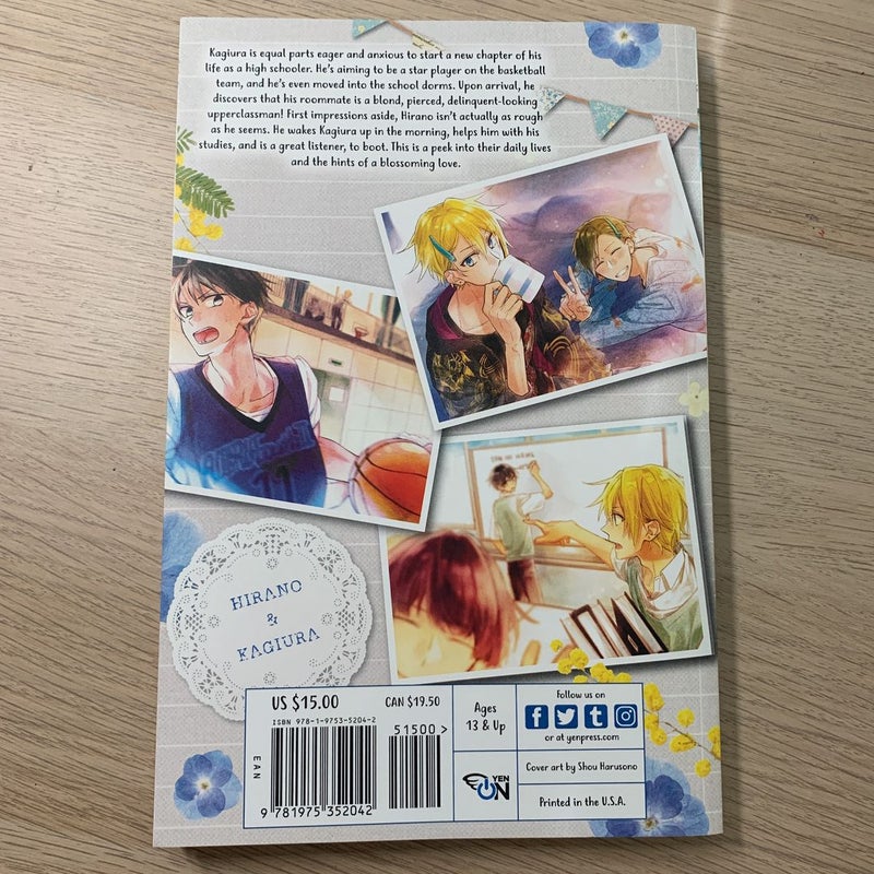 Hirano and Kagiura (novel)