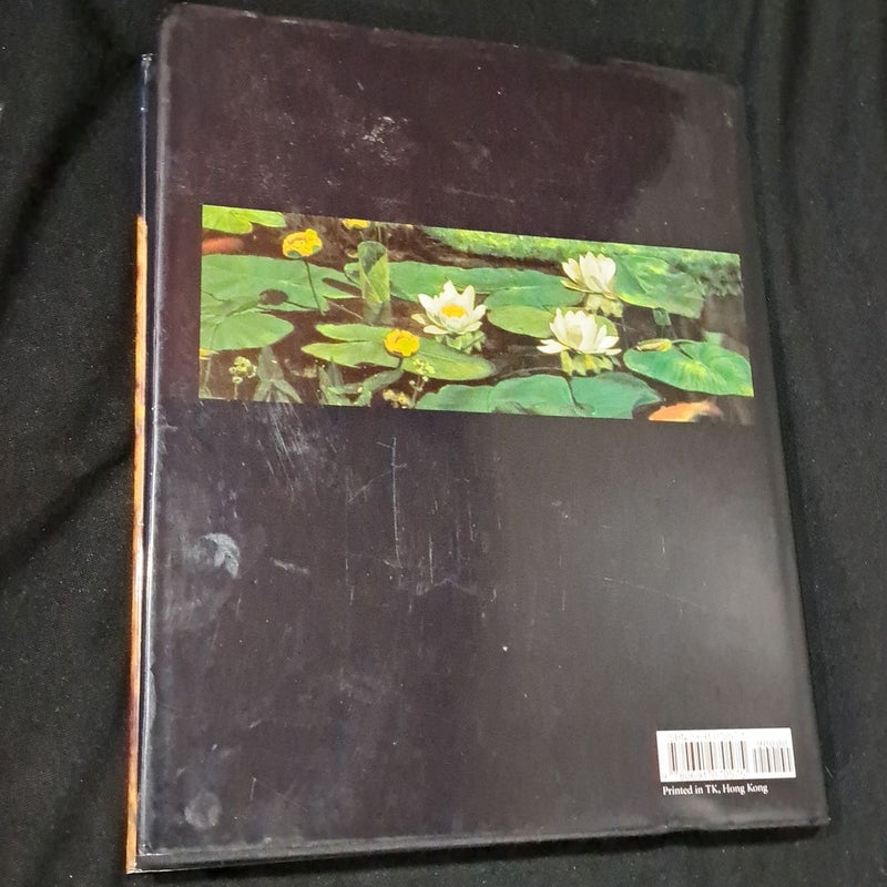 The Art of the Pre-Raphaelites by Elizabeth Prettejohn, Hardcover ...