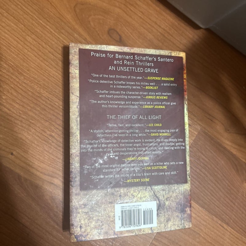 Blood Angel by B. Schaffer, Hardcover | Pangobooks