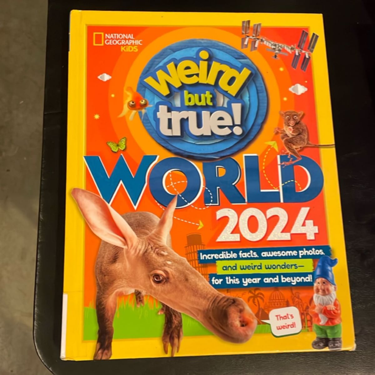 Weird but True! World 2024 by National Geographic