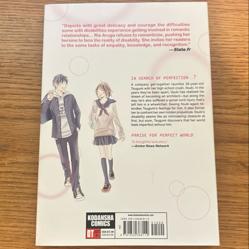 Perfect World (vol. 1) by Rie Aruga, Paperback | Pangobooks