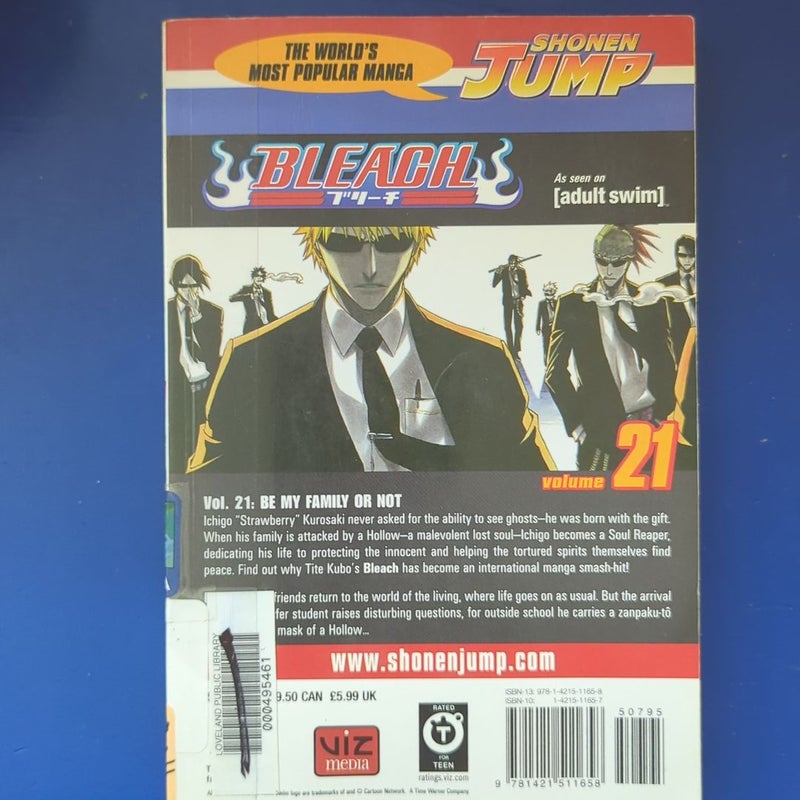 Bleach, Vol. 21