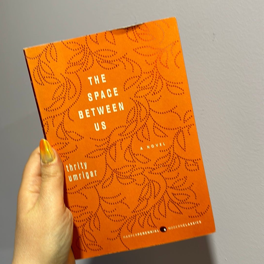The Space Between Us by Thrity Umrigar